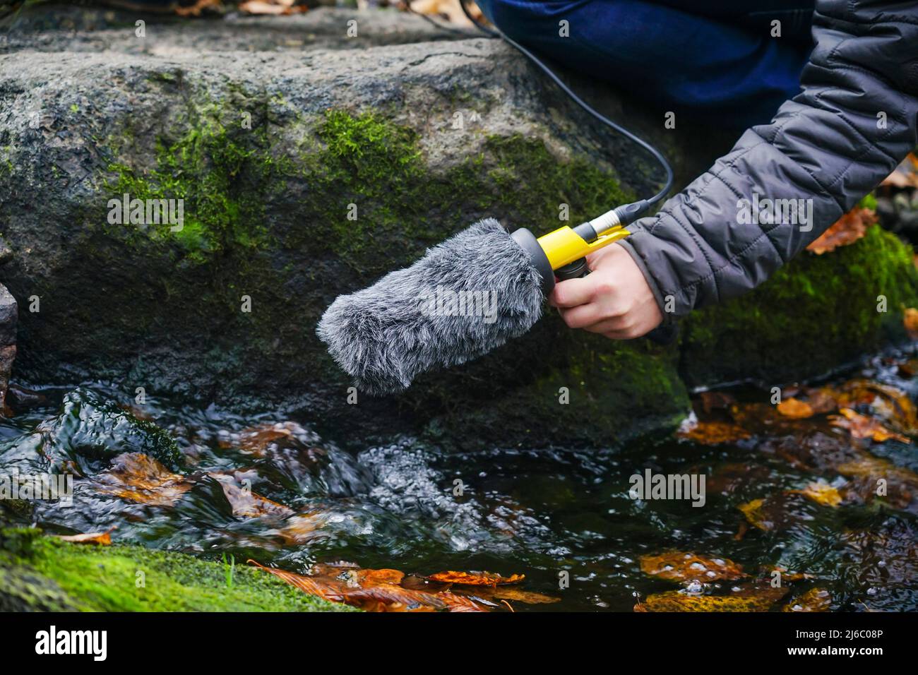 Record nature hi-res stock photography and images - Alamy