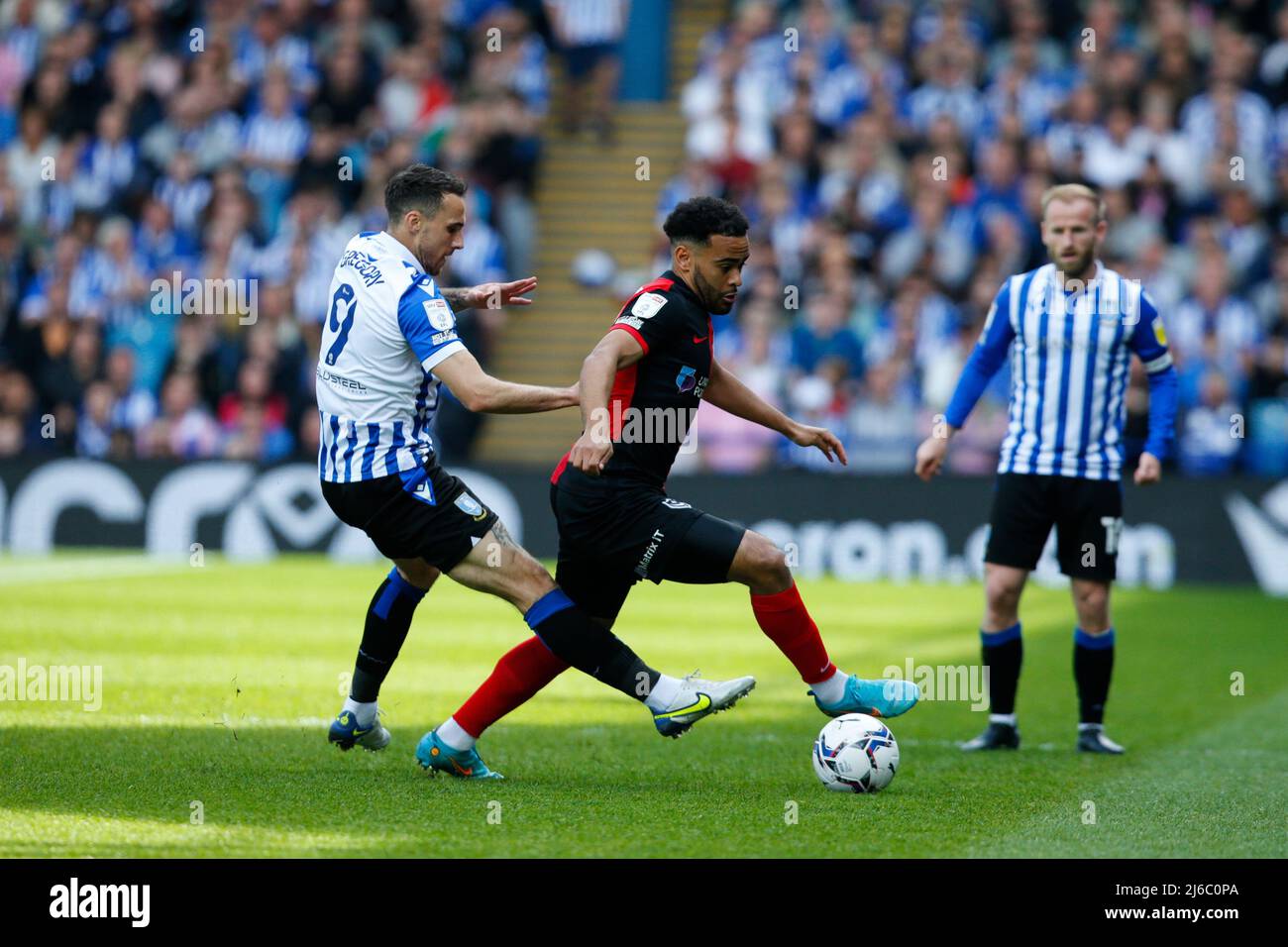Louis thompson portsmouth hi-res stock photography and images - Alamy
