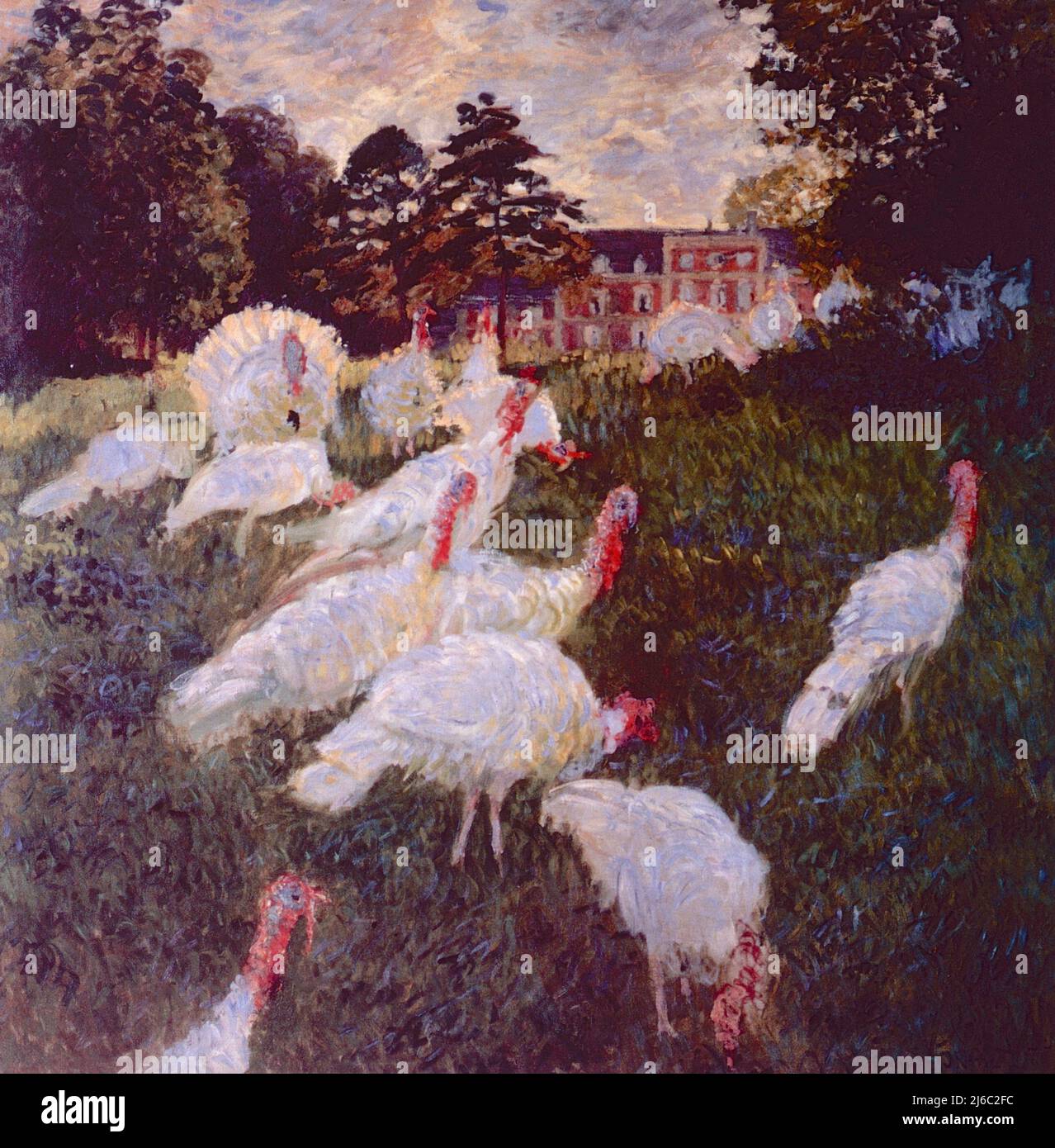 Turkeys, painting by French artist Claude Monet, 1877 Stock Photo - Alamy