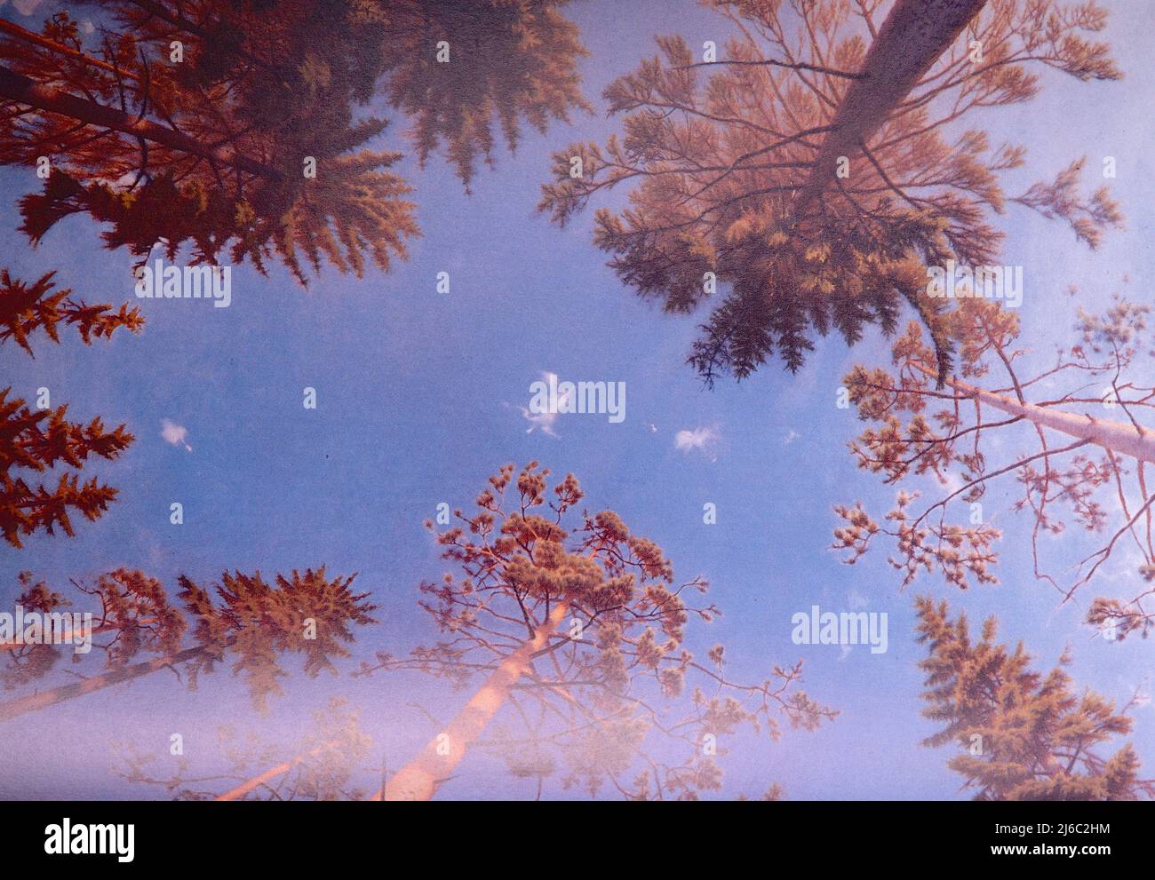 Artwork by Russian artist Erik Bulatov, 1982 Stock Photo - Alamy