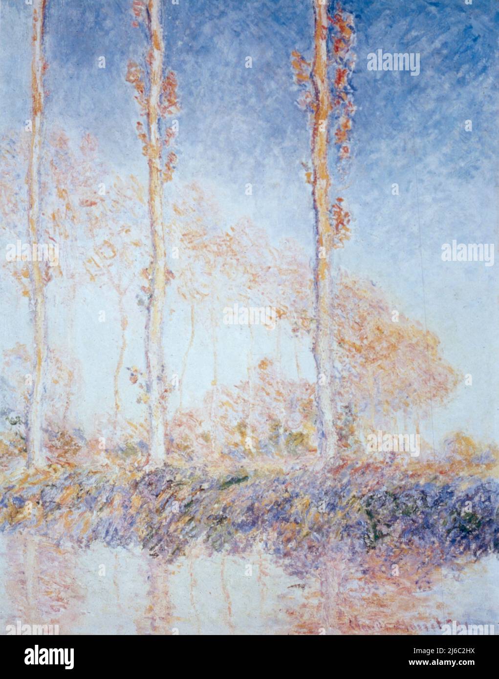 Poplar trees, painting by French artist Claude Monet, 1891 Stock Photo ...