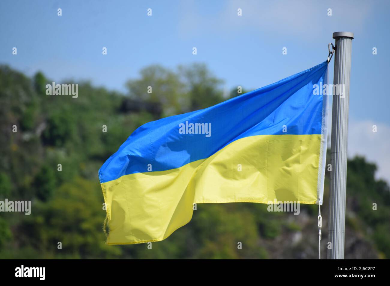 flag of the Ukraine Stock Photo - Alamy