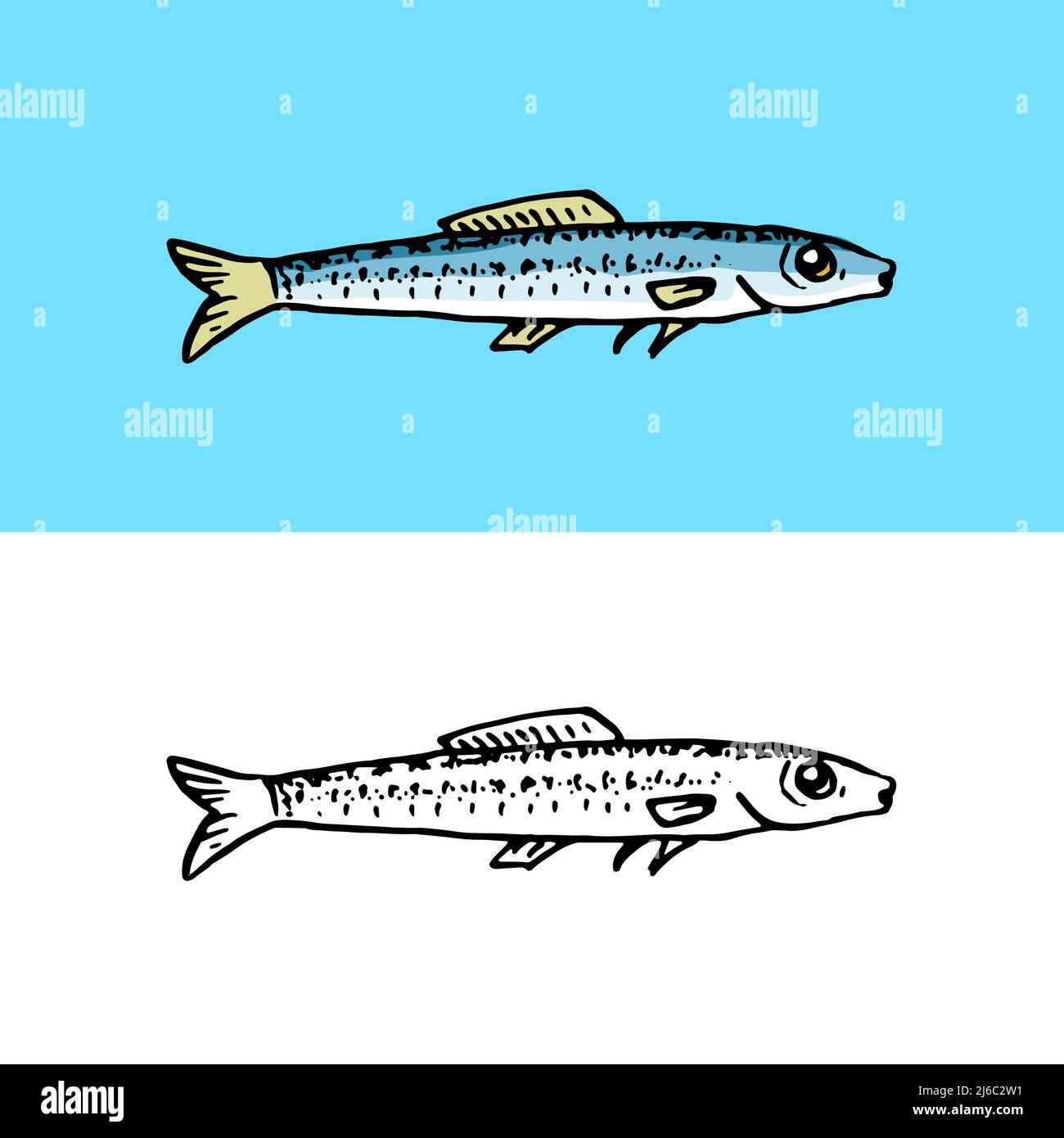 Small herring Stock Vector Images - Alamy