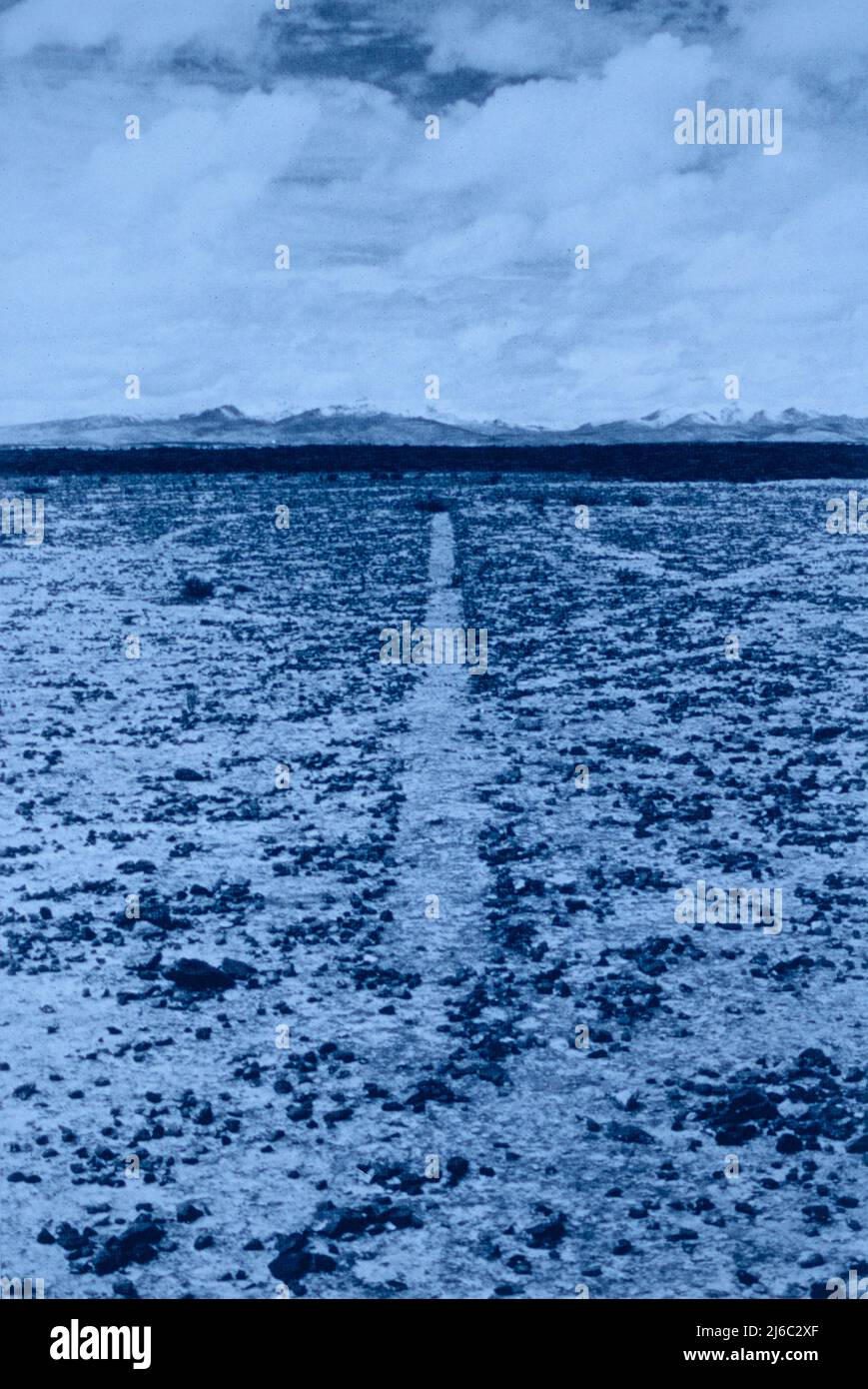 A Line with Tracks in Bolivia, artwork by British land artist Richard ...