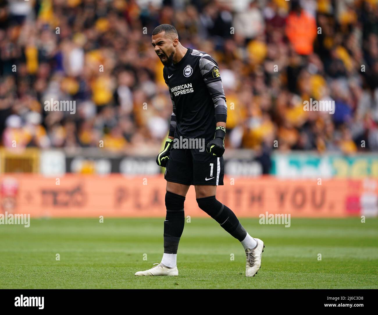 Brighton goalkeeper robert sanchez hi-res stock photography and images ...