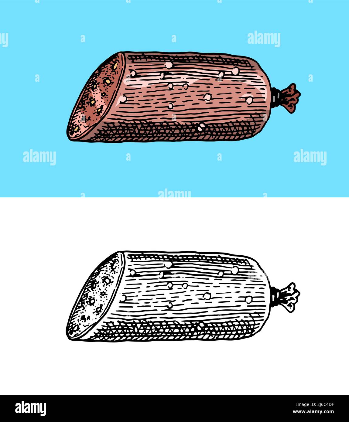 Smoked sausage. Meat products. Hand drawn sketch in vintage doodle ...