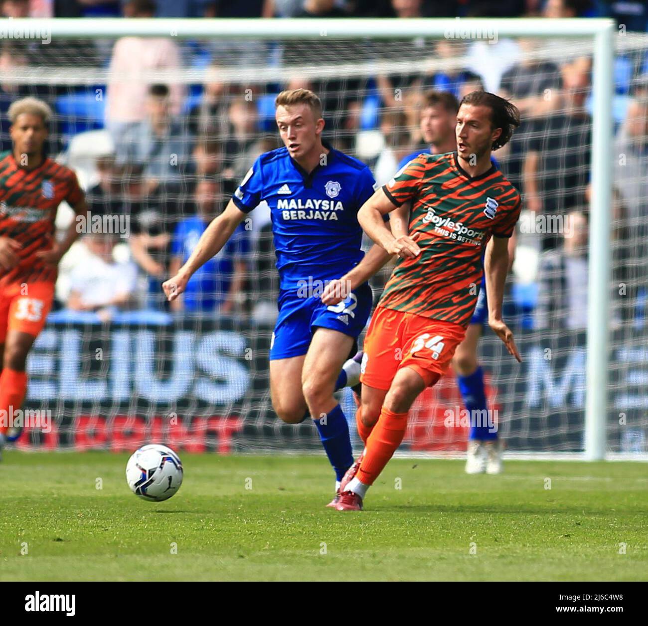 Eli king wales hi-res stock photography and images - Alamy