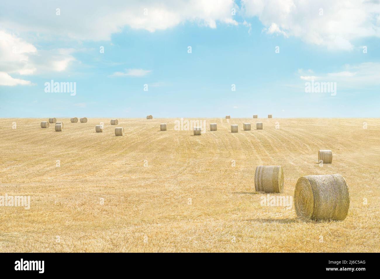Hay field with bales under light blue sky with clouds, minimalistic ...