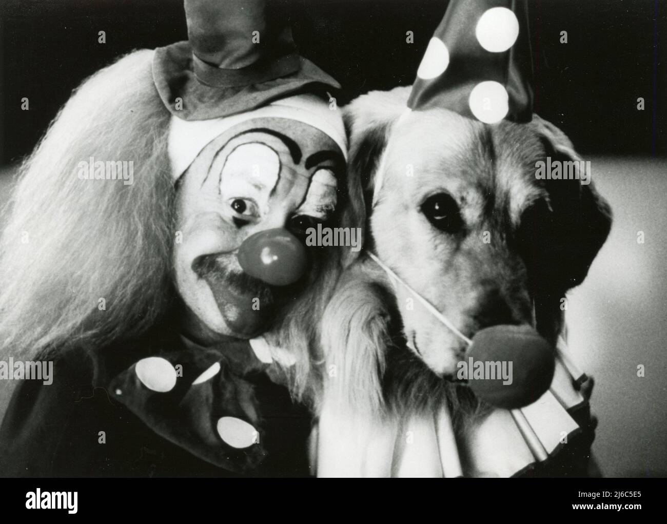 Air bud 1997 hi-res stock photography and images - Alamy