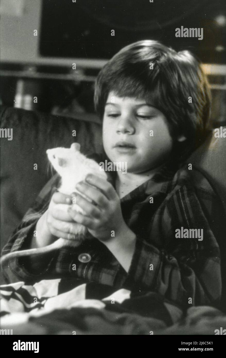 Home alone 3 1997 hi-res stock photography and images - Alamy