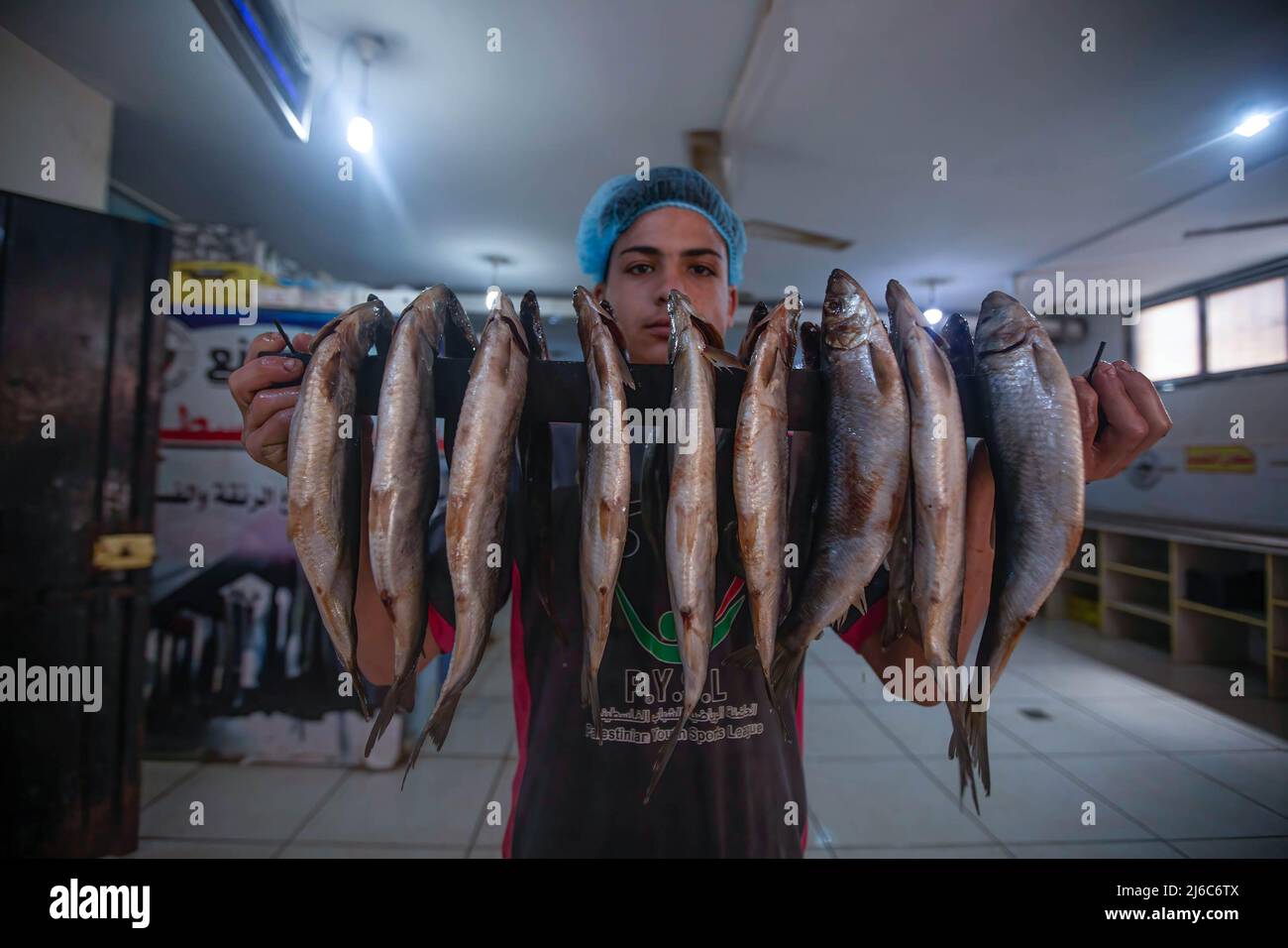 A Palestinian man poses with smoked herring or salted fish for sale in ...