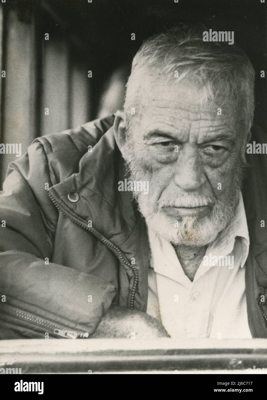 Actor with beard hi-res stock photography and images - Alamy