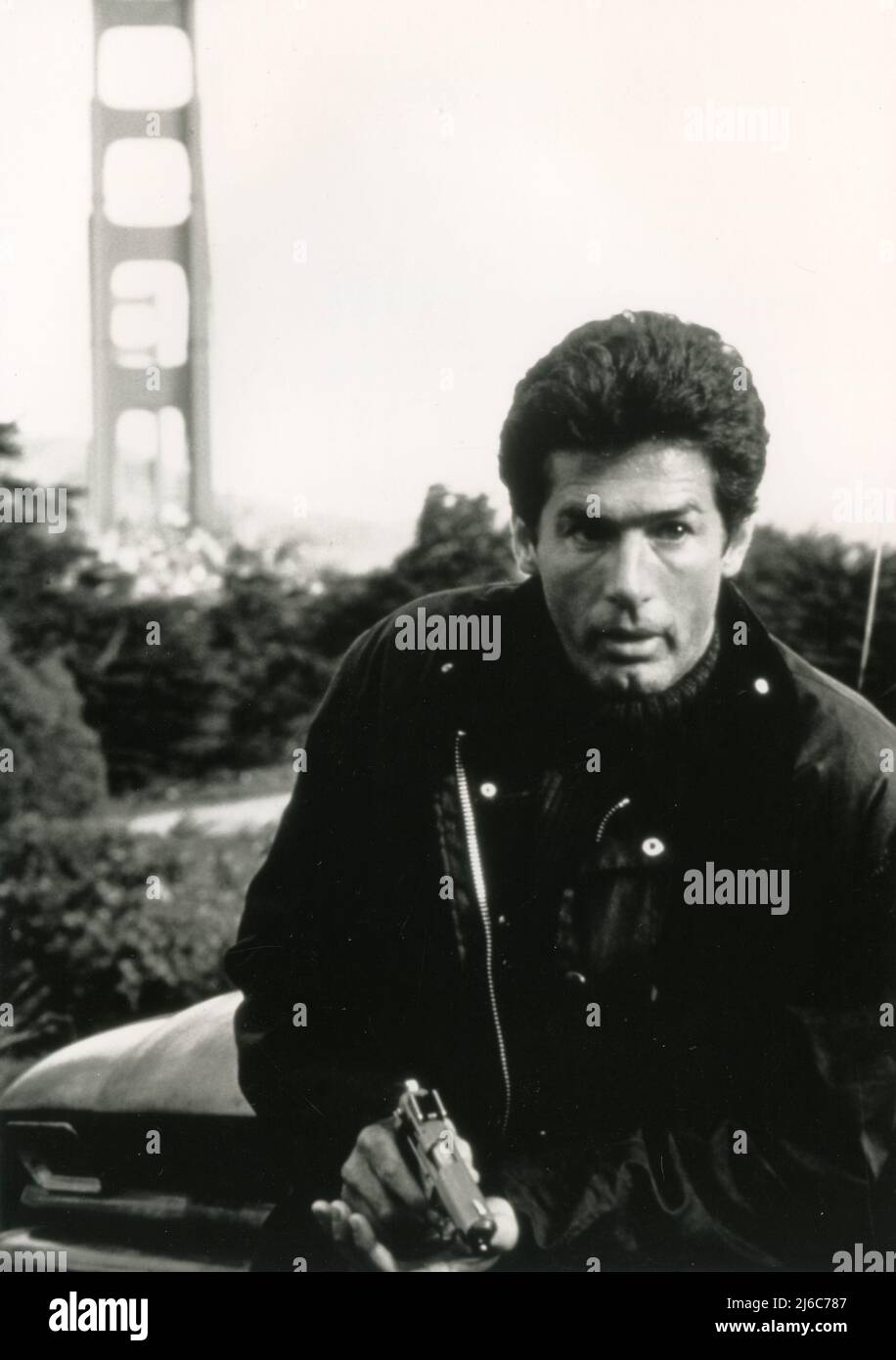 Wolf series hi-res stock photography and images - Alamy