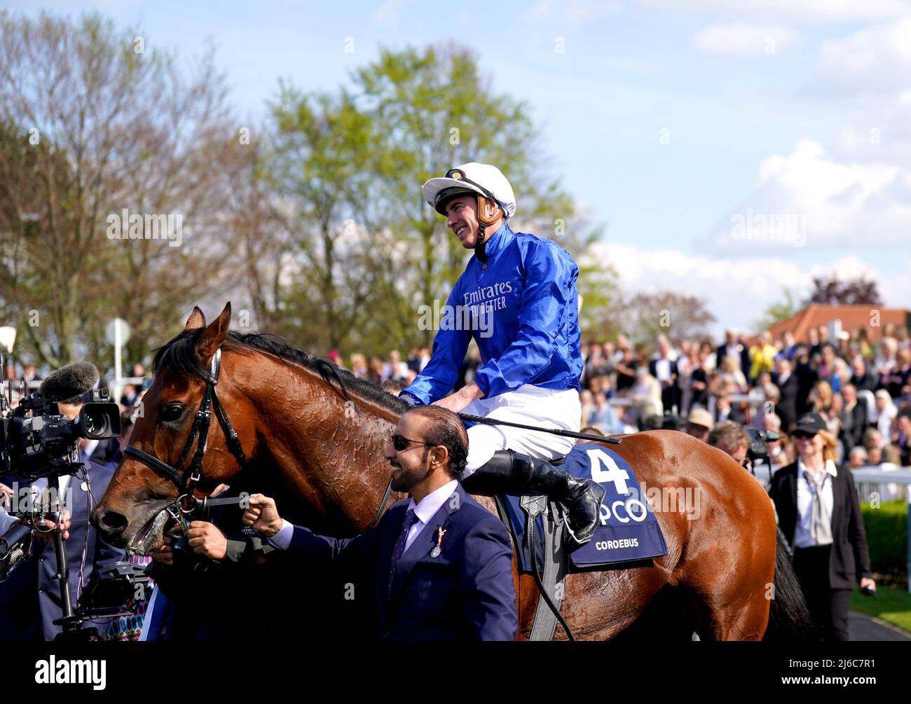 Coroebus horse hi-res stock photography and images - Alamy