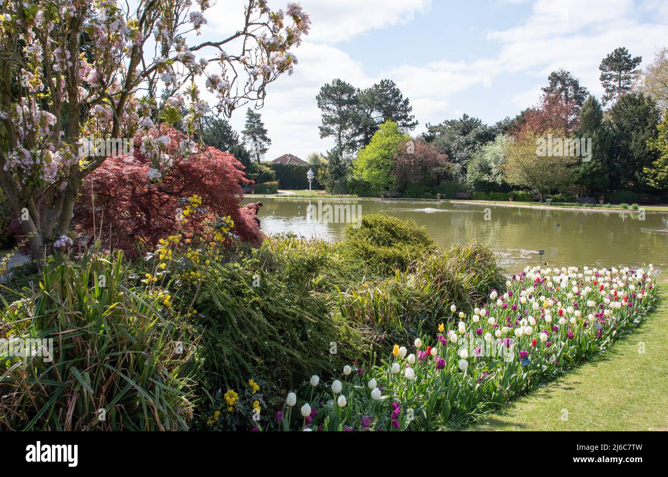 Burnby Hall Gardens Stock Photo - Alamy