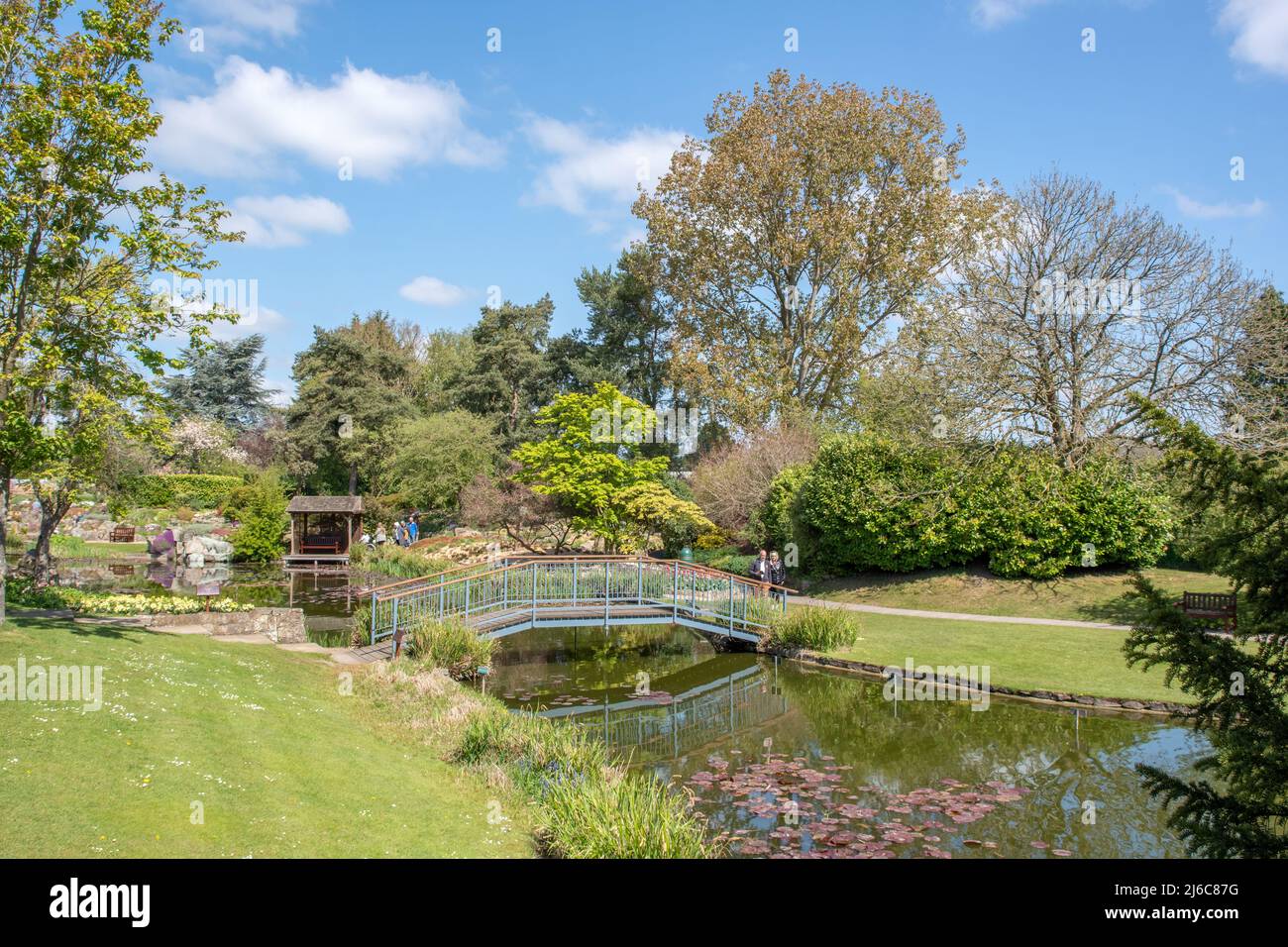 Burnby Hall Gardens Stock Photo - Alamy