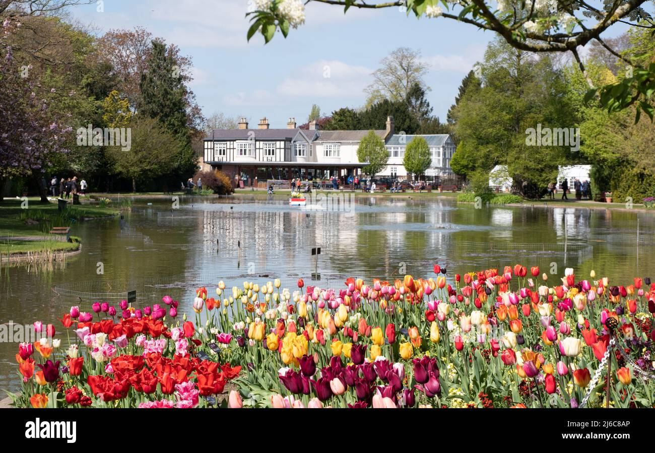 Burnby Hall Gardens Stock Photo - Alamy