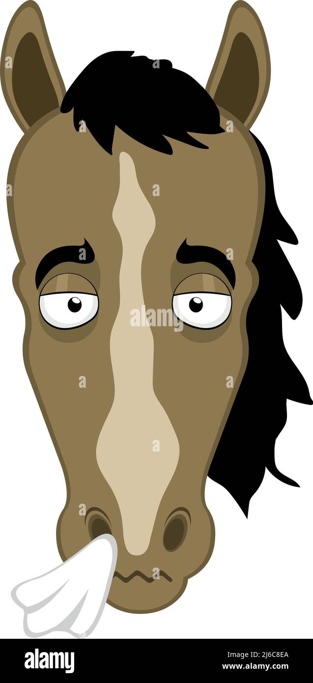 Cartoon Horse Face