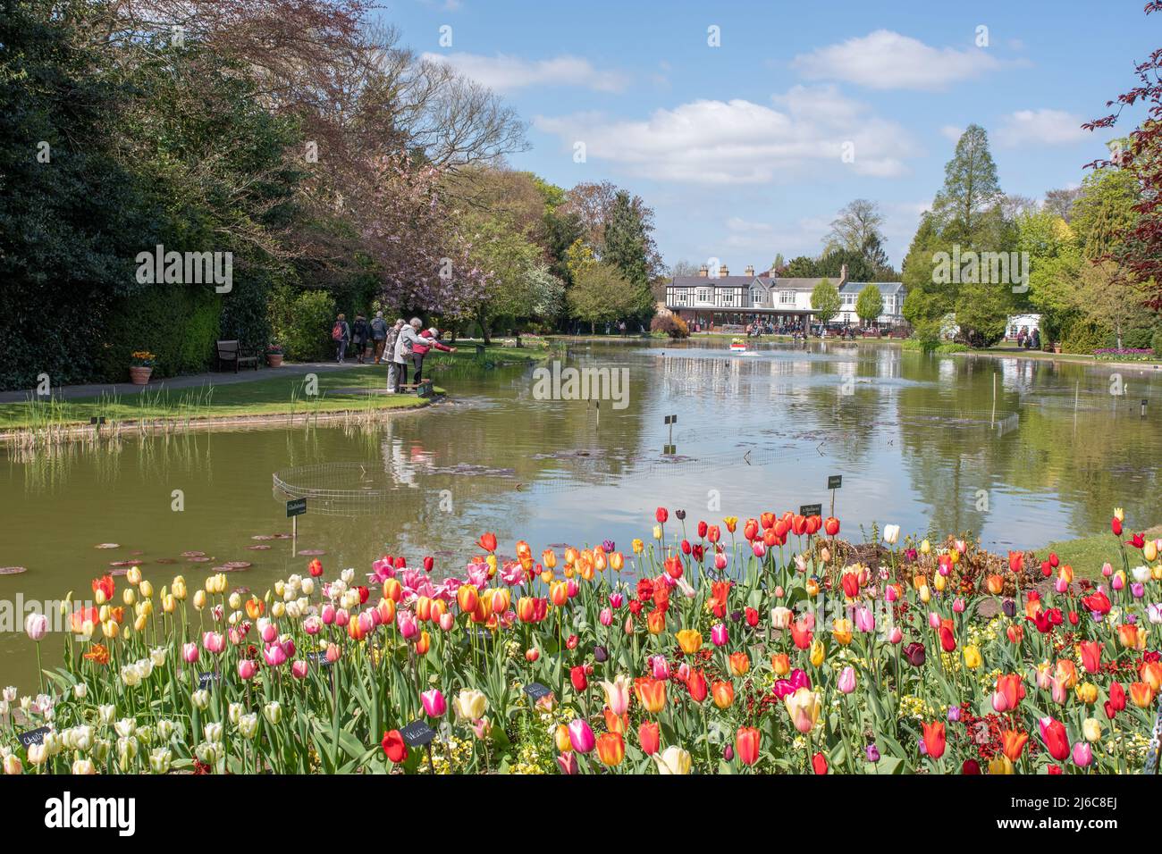 Burnby Hall Gardens Stock Photo - Alamy