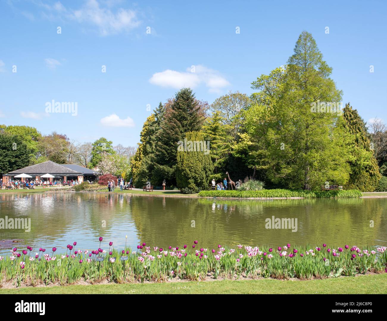 Burnby Hall Gardens Stock Photo - Alamy