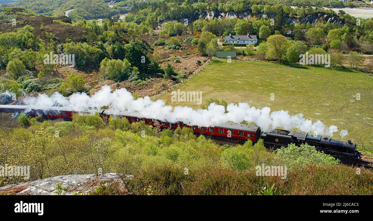 JACOBITE STEAM TRAIN AND COACHES TRAVELLING THROUGH MORAR WOODS IN ...