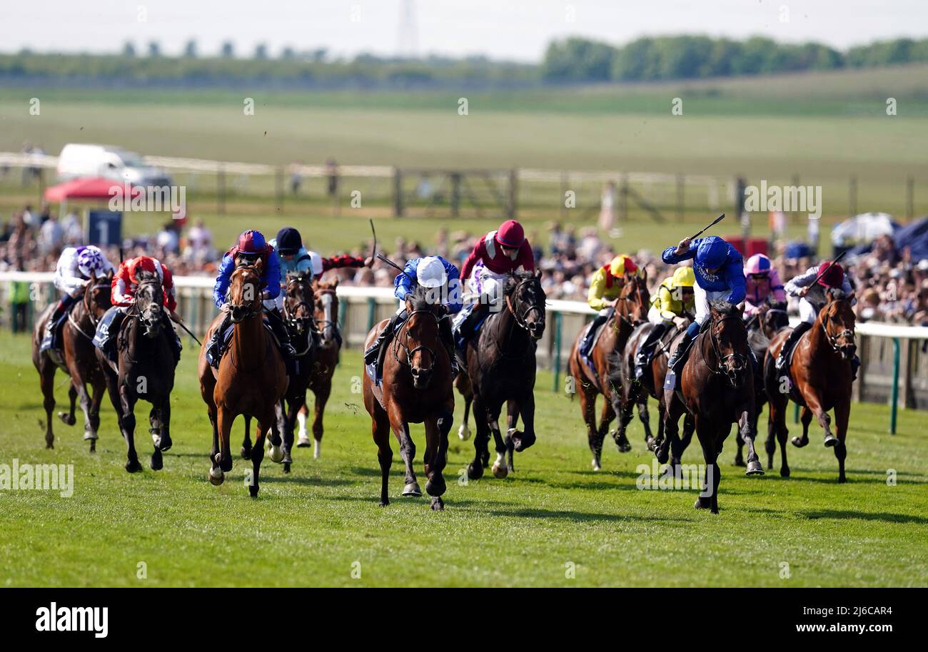 Coroebus horse hi-res stock photography and images - Alamy