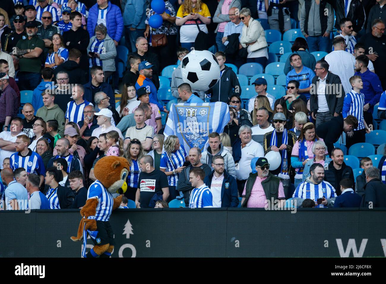 Sheffield wednesday football fans hi-res stock photography and images ...