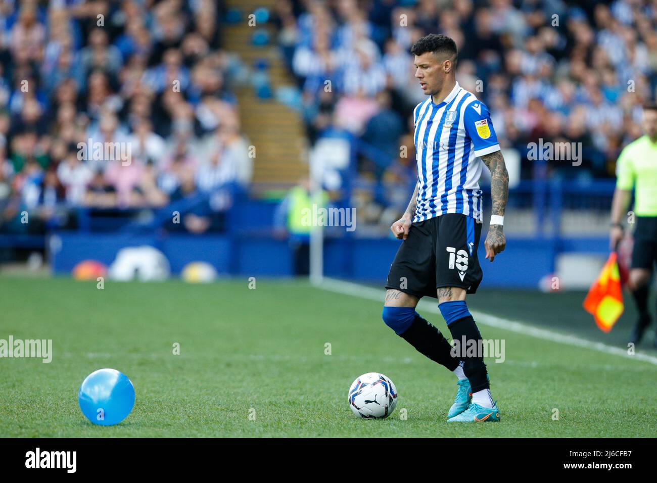 Sheffield wednesday marvin johnson hi-res stock photography and images ...