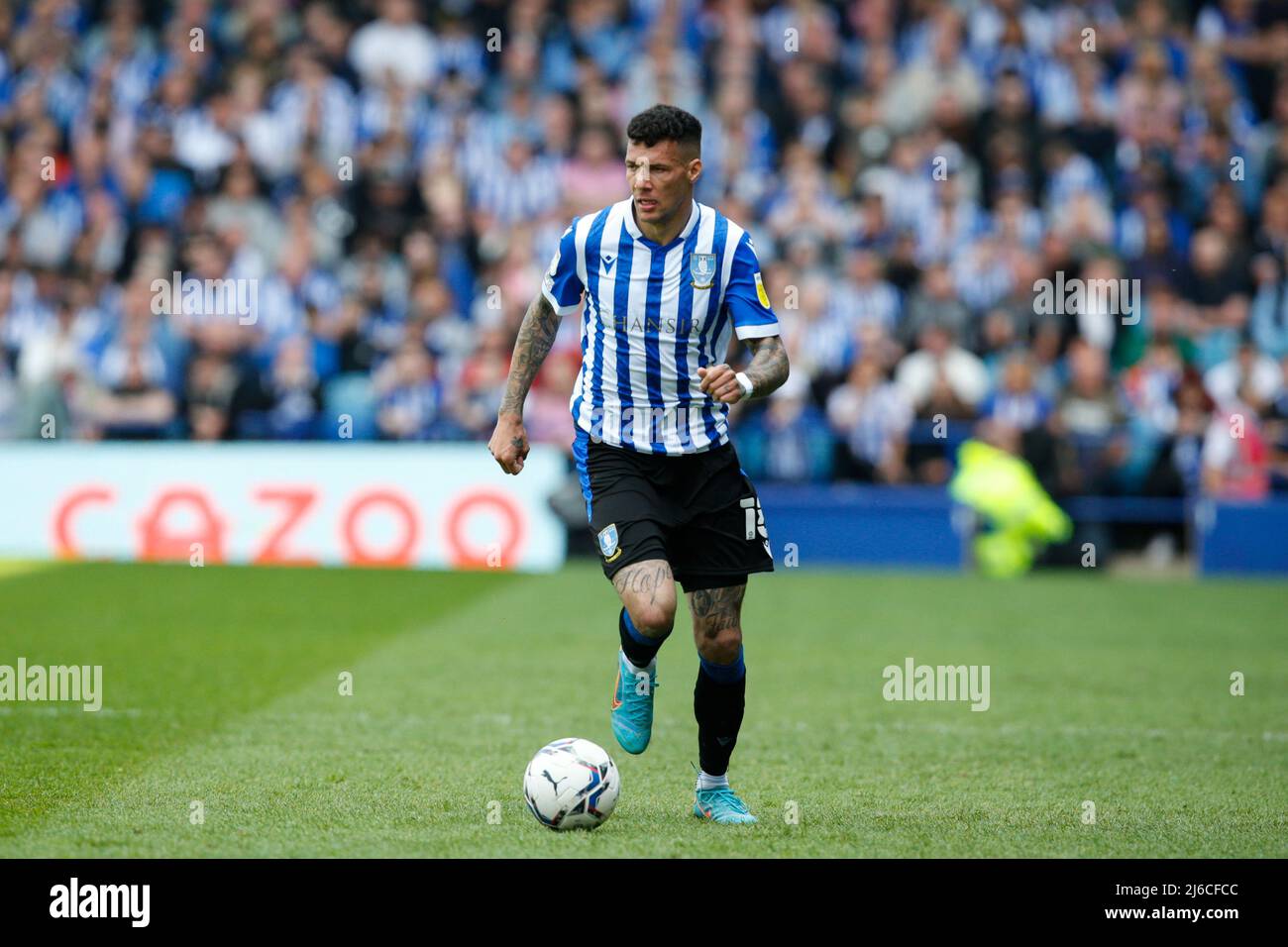 Sheffield wednesday marvin johnson hi-res stock photography and images ...
