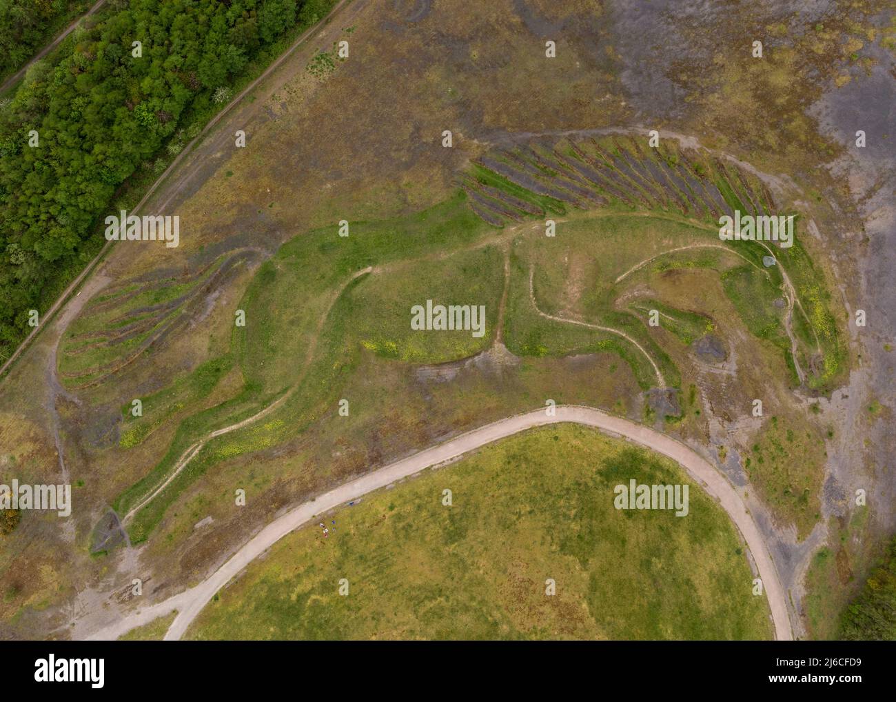 Sultan the pit pony hi-res stock photography and images - Alamy