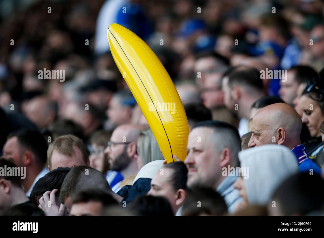 A fan of Sheffield Wednesday with an inflatable banana Stock Photo - Alamy