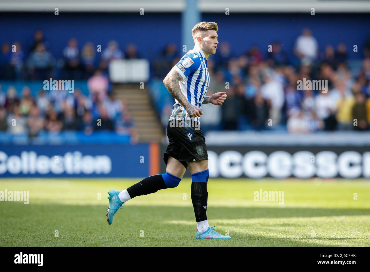 Josh Windass #11 of Sheffield Wednesday Stock Photo - Alamy