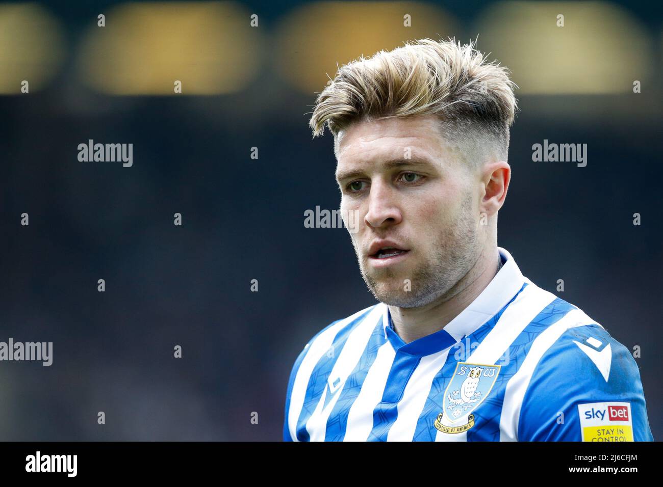 Josh windass sheffield wednesday hi-res stock photography and images ...