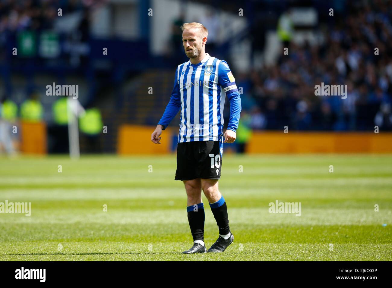 Barry Bannan #10 of Sheffield Wednesday in Sheffield, United Kingdom on ...