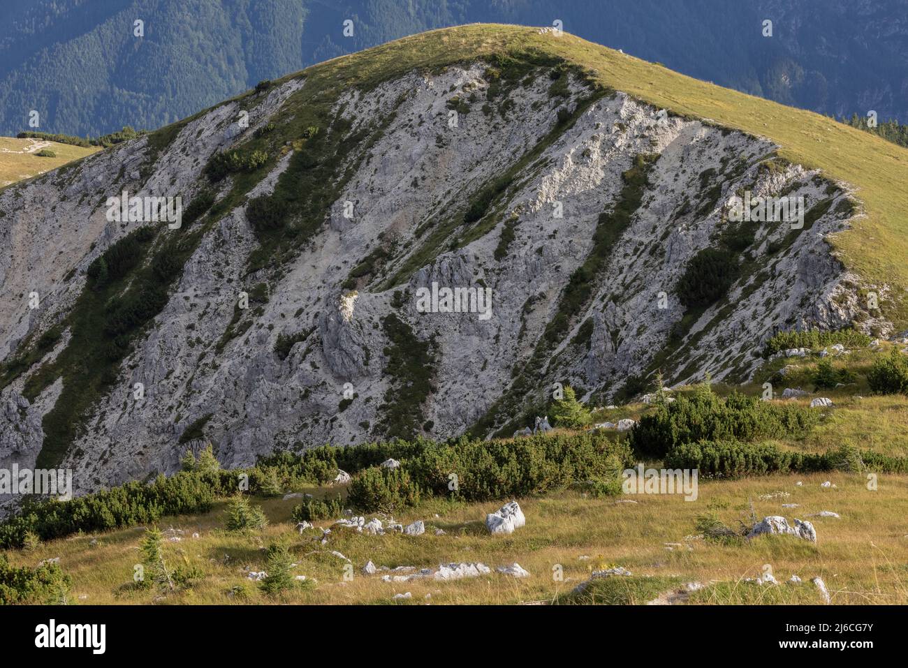 A high limestone mountain, Hochobir, (2139m) in the Karawanken ...