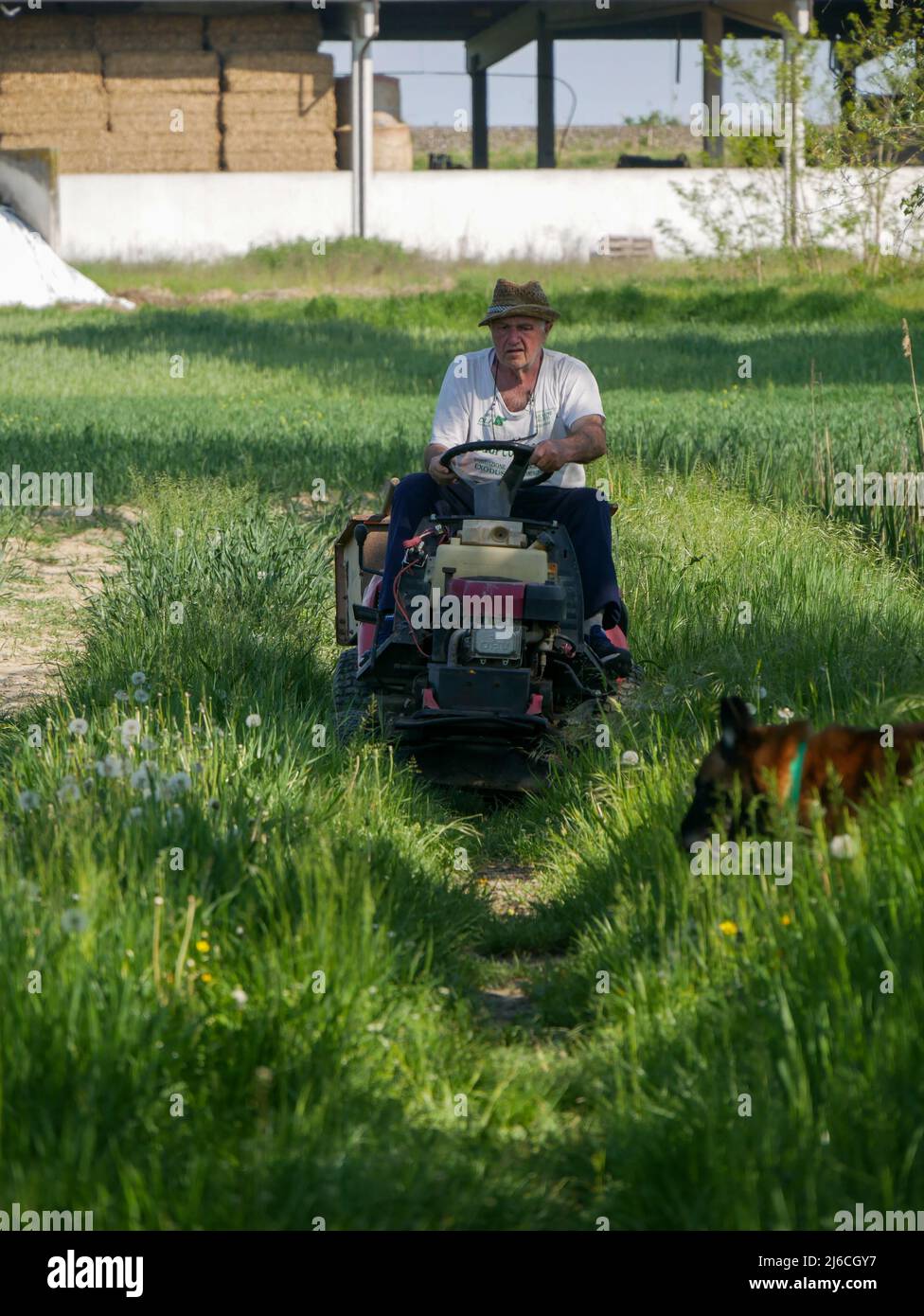 Transporting seeds hi-res stock photography and images - Alamy