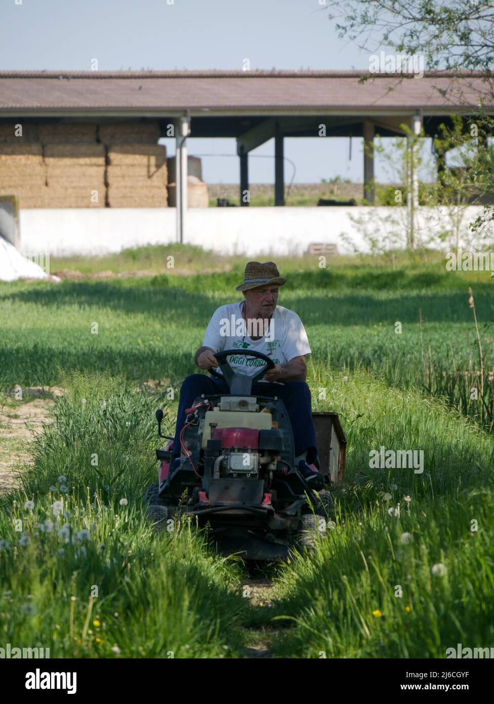 Transporting seeds hi-res stock photography and images - Alamy