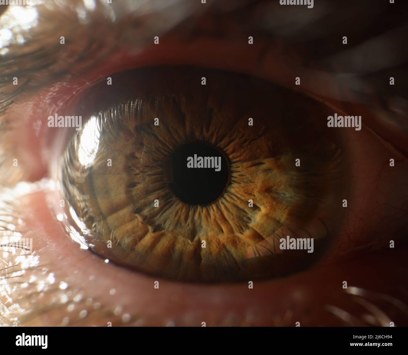 Persons eye, extreme macro shot of female or male sight organ, shadows ...