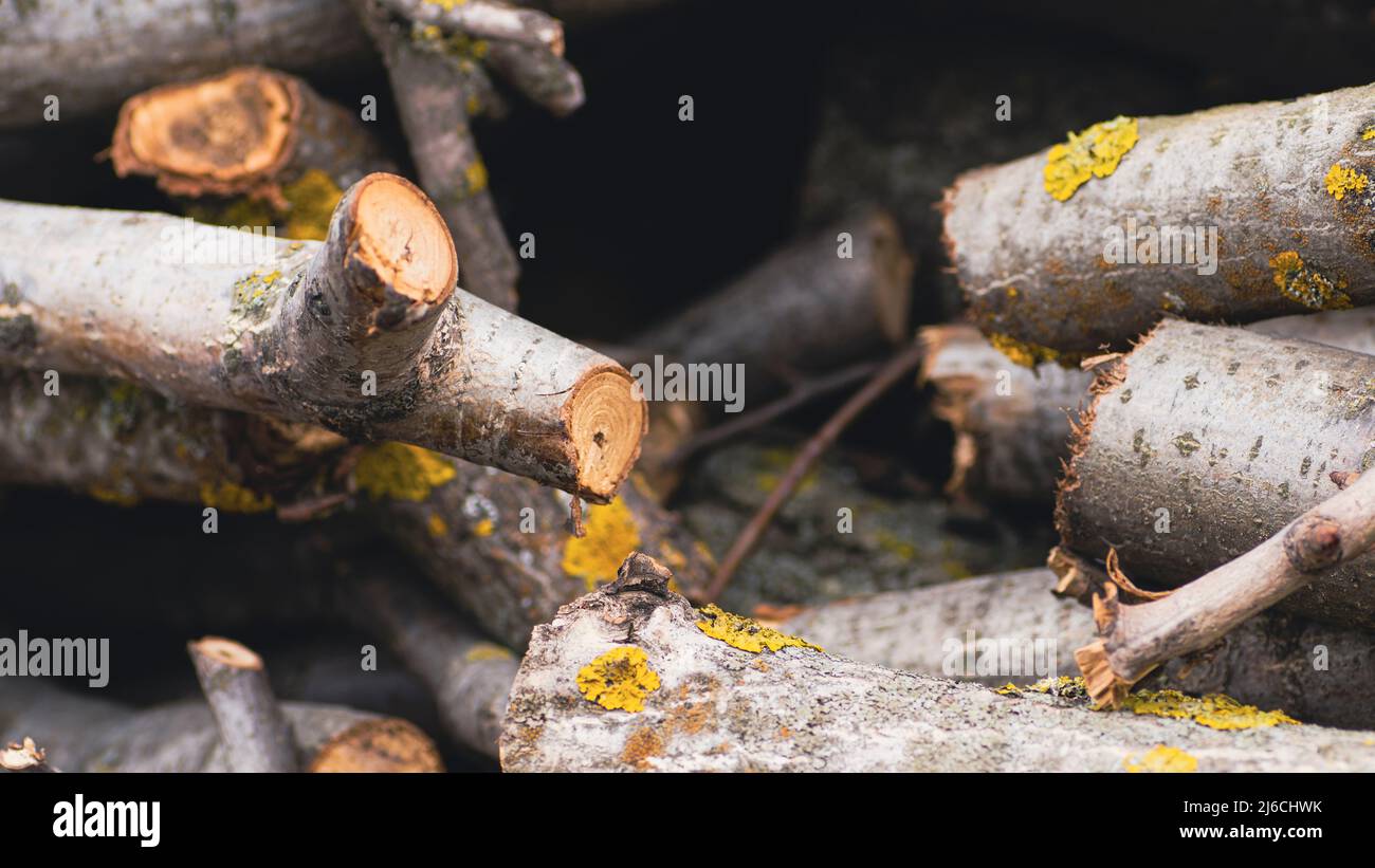 Uneven logs hi-res stock photography and images - Alamy