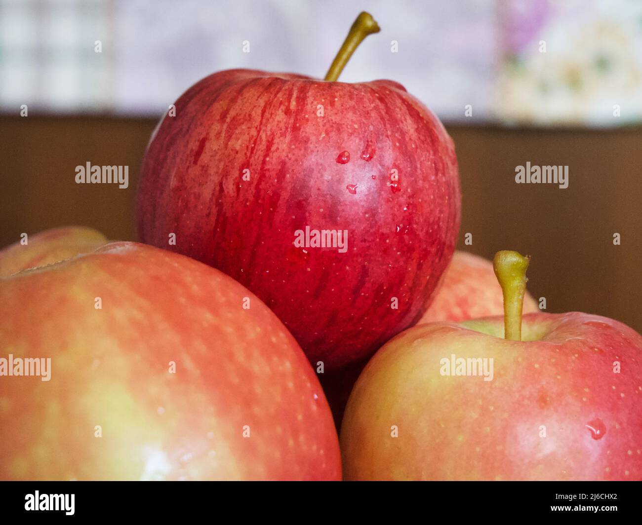 A few ripe striped apples, a close-up shot. Apples of the gala and ...