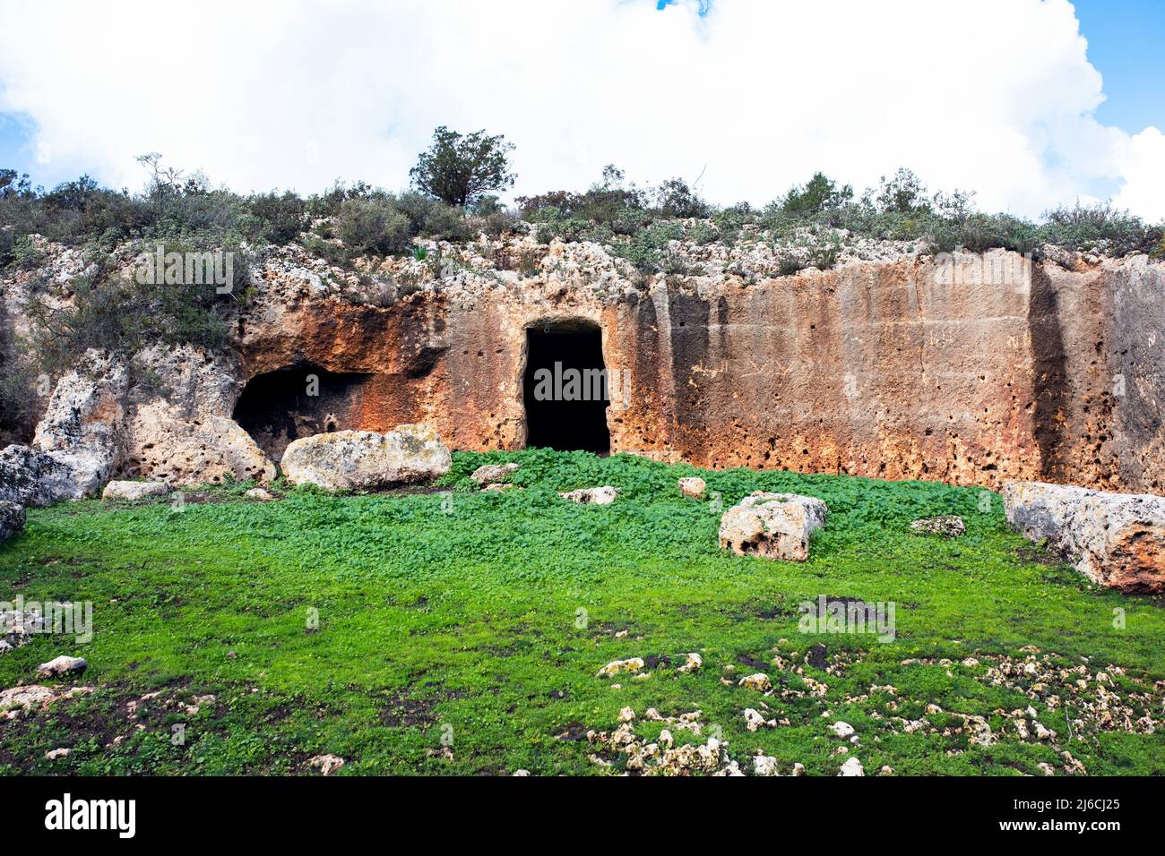 The bavarian arbutin hi-res stock photography and images - Alamy