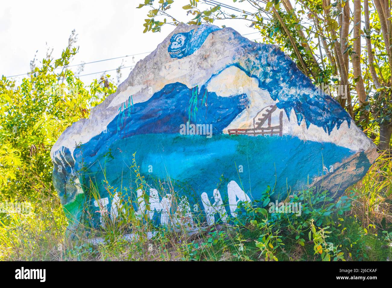 Quintana Roo Mexico 04. February 2022 Colorful stone rock boulder with ...