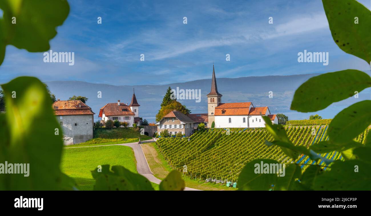 The Font Castle in the canton of Friborg, Switzerland Stock Photo - Alamy