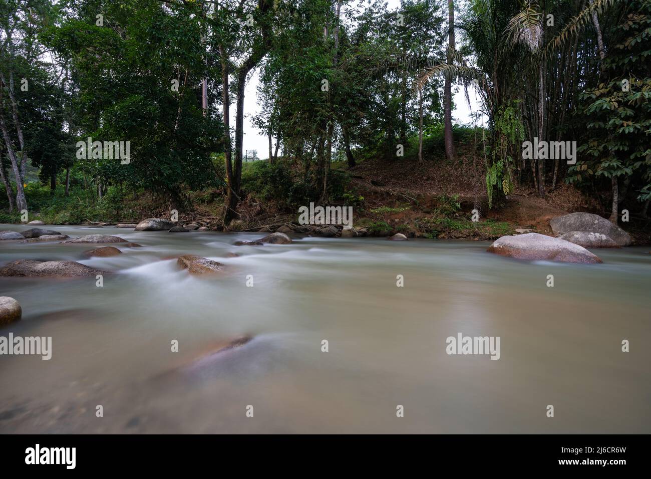 River rapids on forest background Stock Photo - Alamy