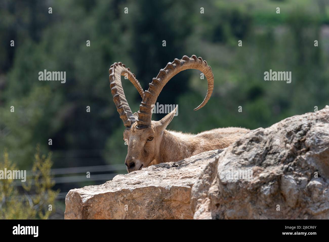Sde boker kibbutz hi-res stock photography and images - Alamy