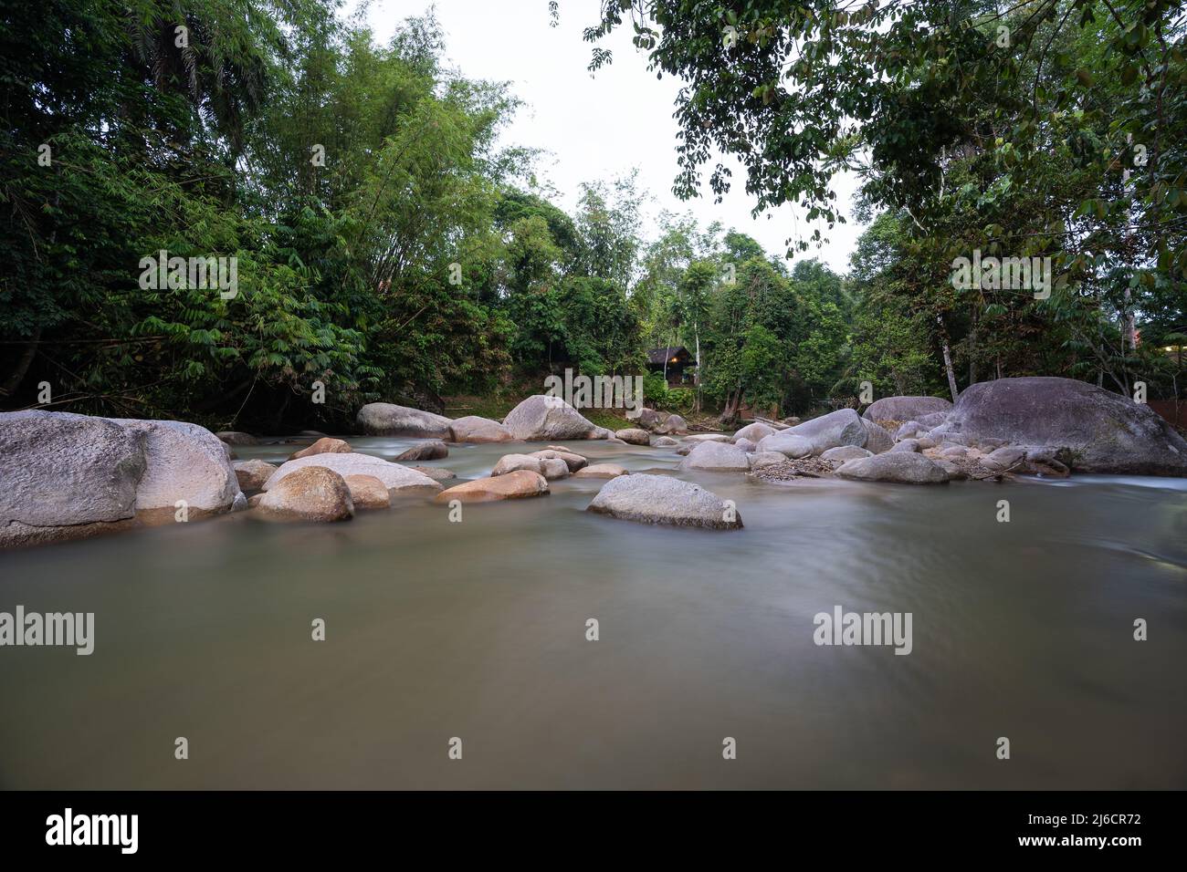 River rapids on forest background Stock Photo - Alamy