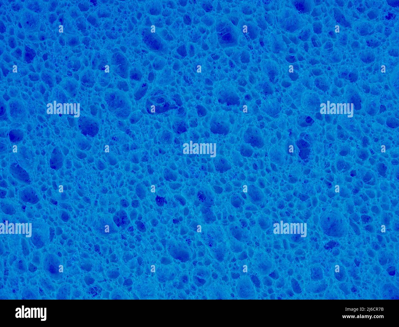 Foam sponge texture hi-res stock photography and images - Alamy