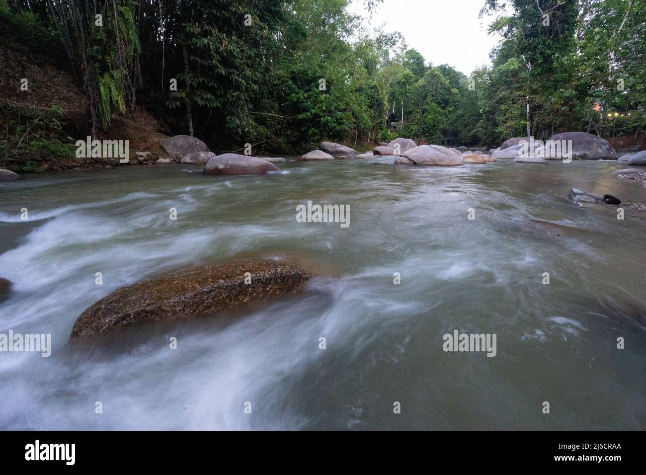 River rapids on forest background Stock Photo - Alamy