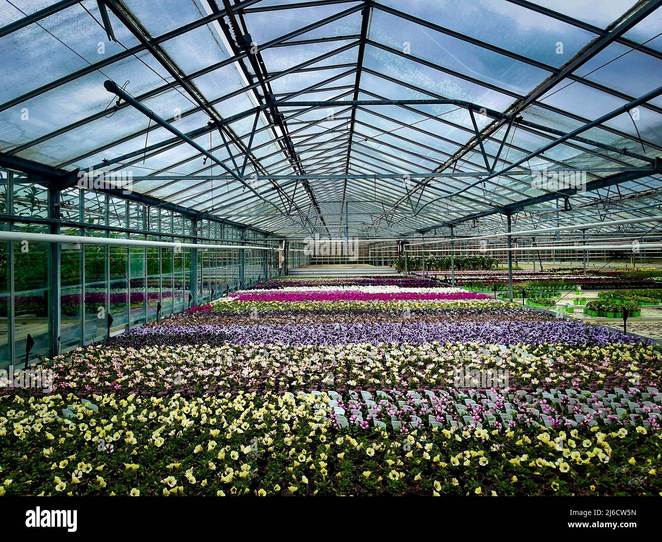Commercial plants hi-res stock photography and images - Alamy