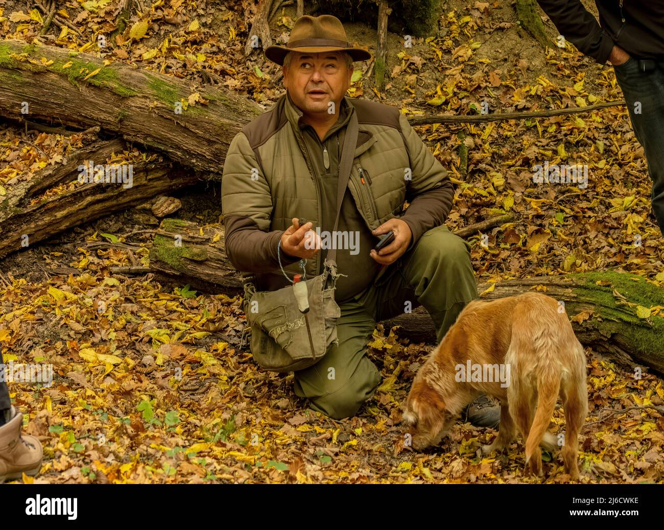Romanian truffle-hunter and his dogs in old woodland in autumn, near ...